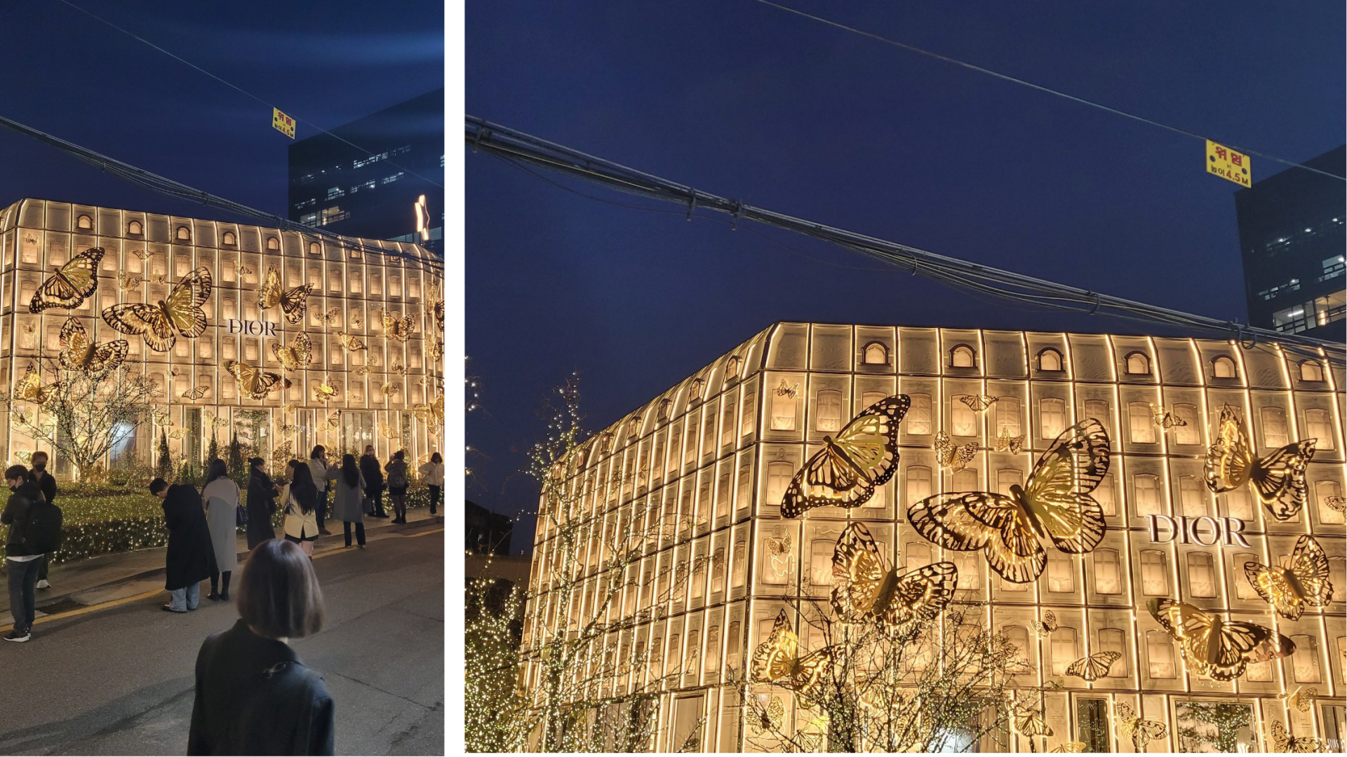 Reise-Guide: Entdecke Pop-up Stores in Seoul - pleaselie